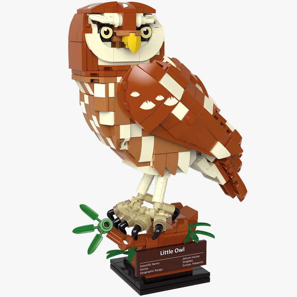BlueBrixx Little Owl • Set 107677 • SetDB • Merlins Bricks