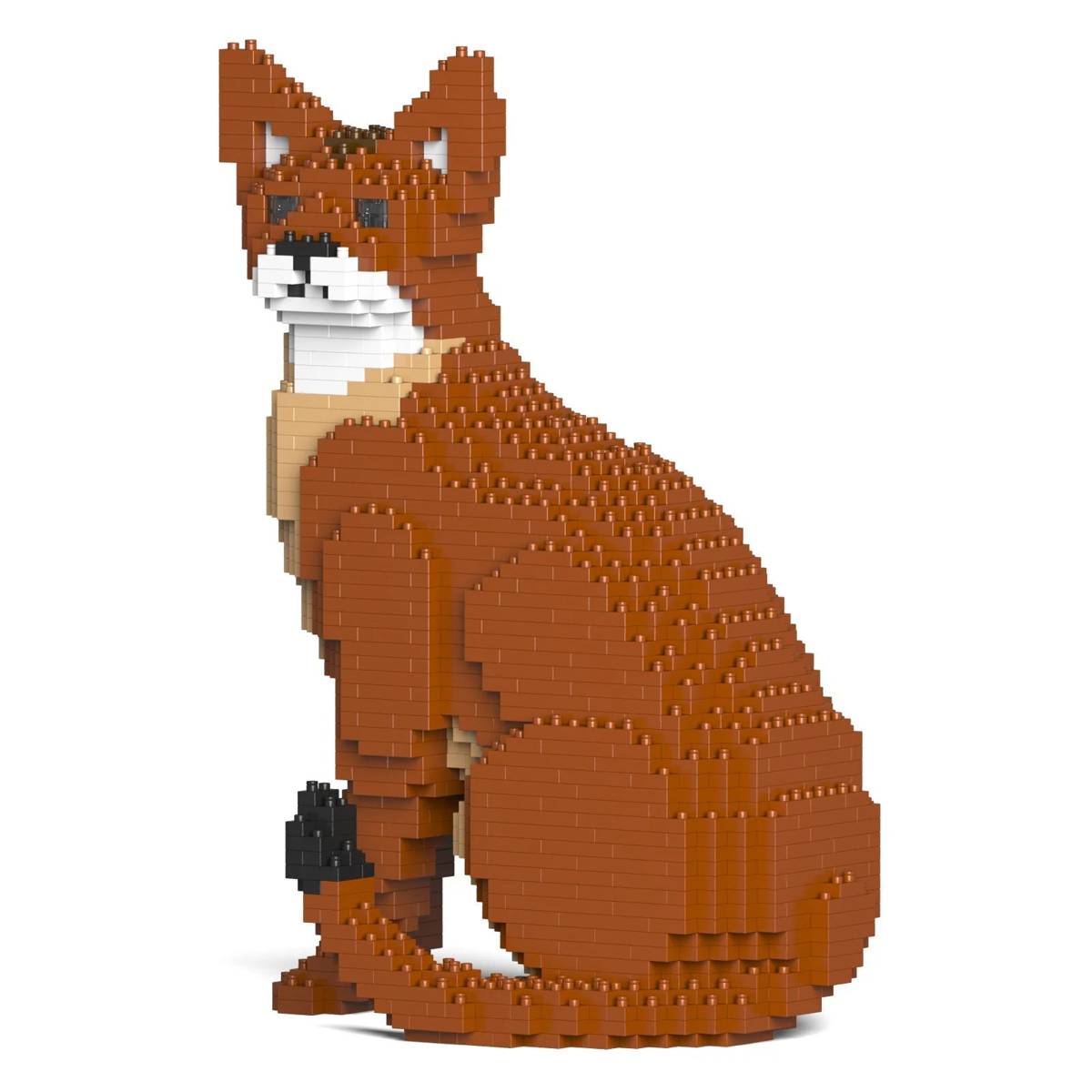 JEKCA Abyssinian Cat 02S • SCULPTOR BLOCKS • Set ST19ACA02