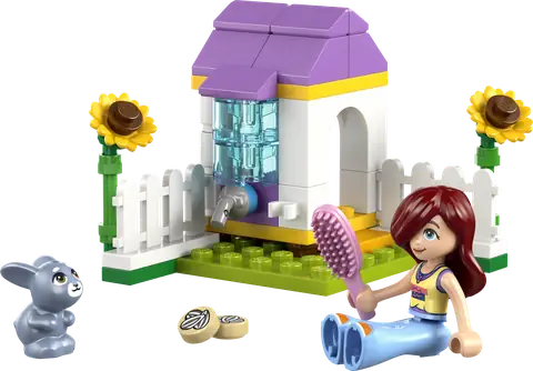 LEGO Friends Flower Stand with Roses • Set 30721 • SetDB