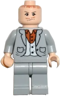 LEGO Harry Potter Peter Pettigrew • Minifig hp048 • SetDB